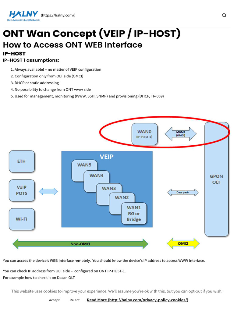 ONT Wan Concept (VEIP - IP-HOST) HALNy NETWORKS | PDF | Ip Address ...
