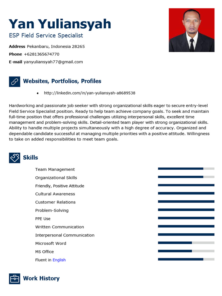 Yan Yuliansyah CV | PDF | Turbomachinery | Hydraulics