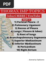 PELVIS ANATOMY Johari Notes | PDF