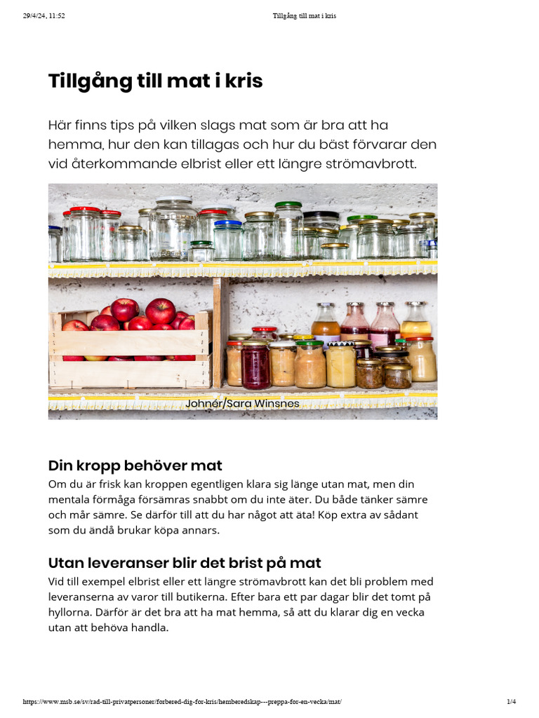 Tillgång till mat i kris | PDF