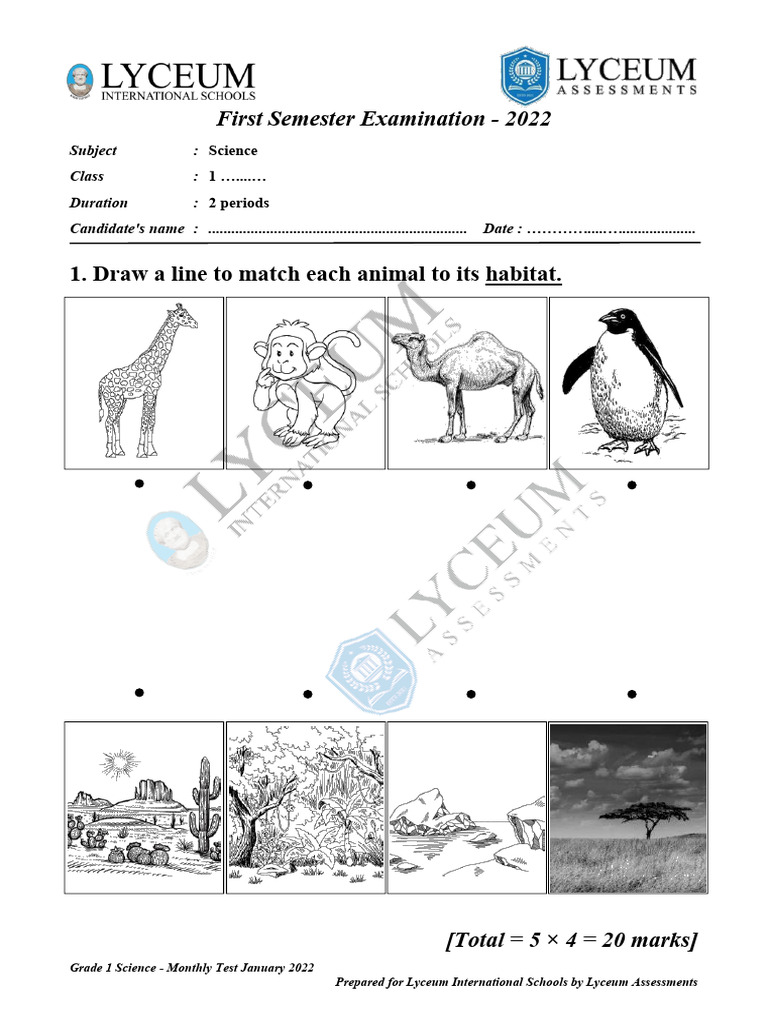 Grade 1 Science | PDF