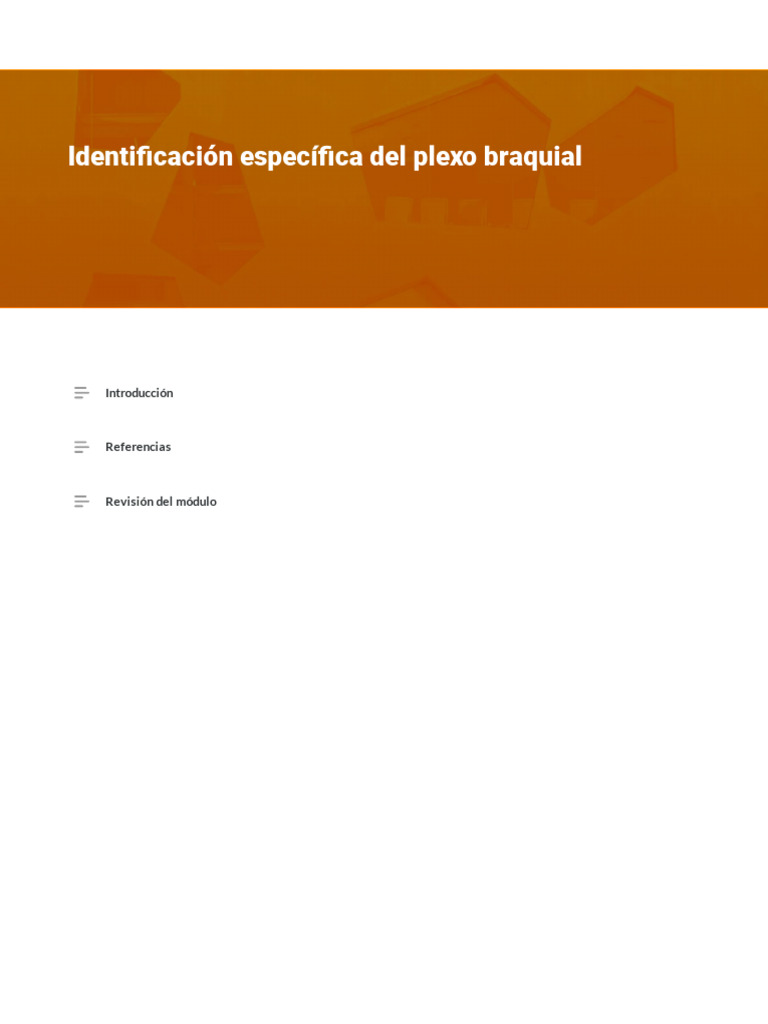 Identificación Específica Del Plexo Braquial | PDF | Neuroanatomía ...