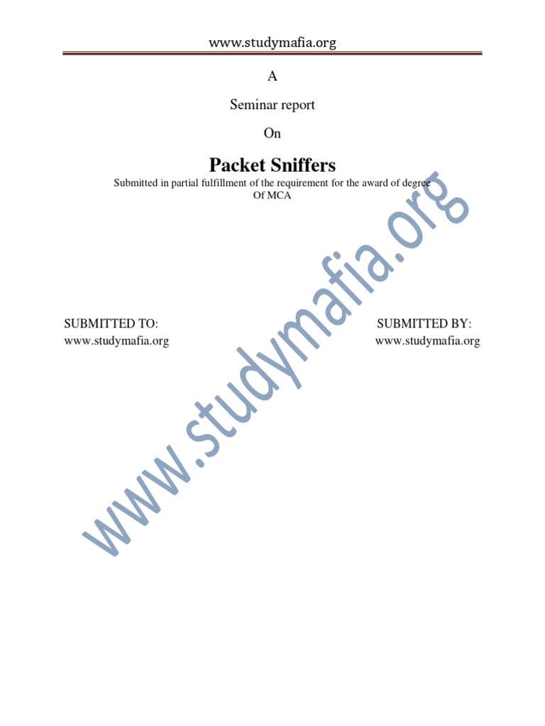 Packet Sniffer | PDF | Computer Network | Domain Name System