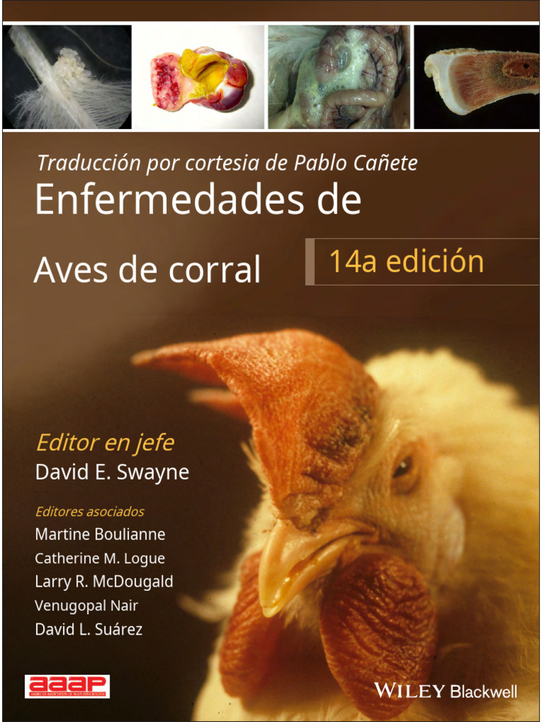 Enfermedades de Las Aves, 14th Edicion - Espa Ol | PDF | Medicamentos con receta | Medicina
