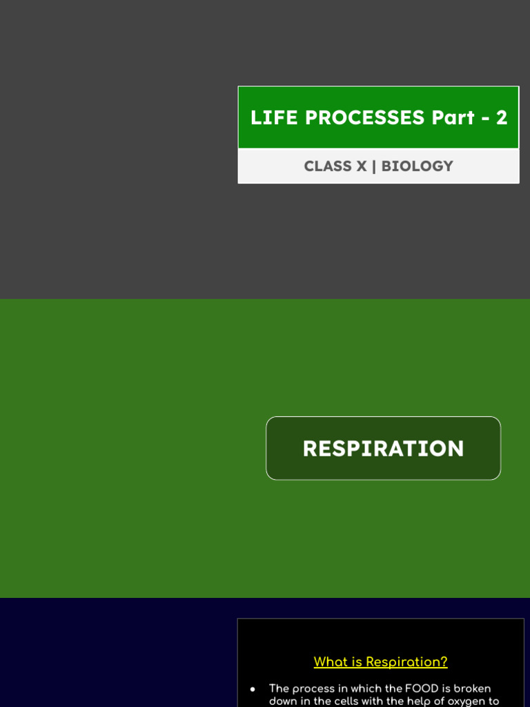 LIFE PROCESS Respiration Full | PDF | Cellular Respiration ...