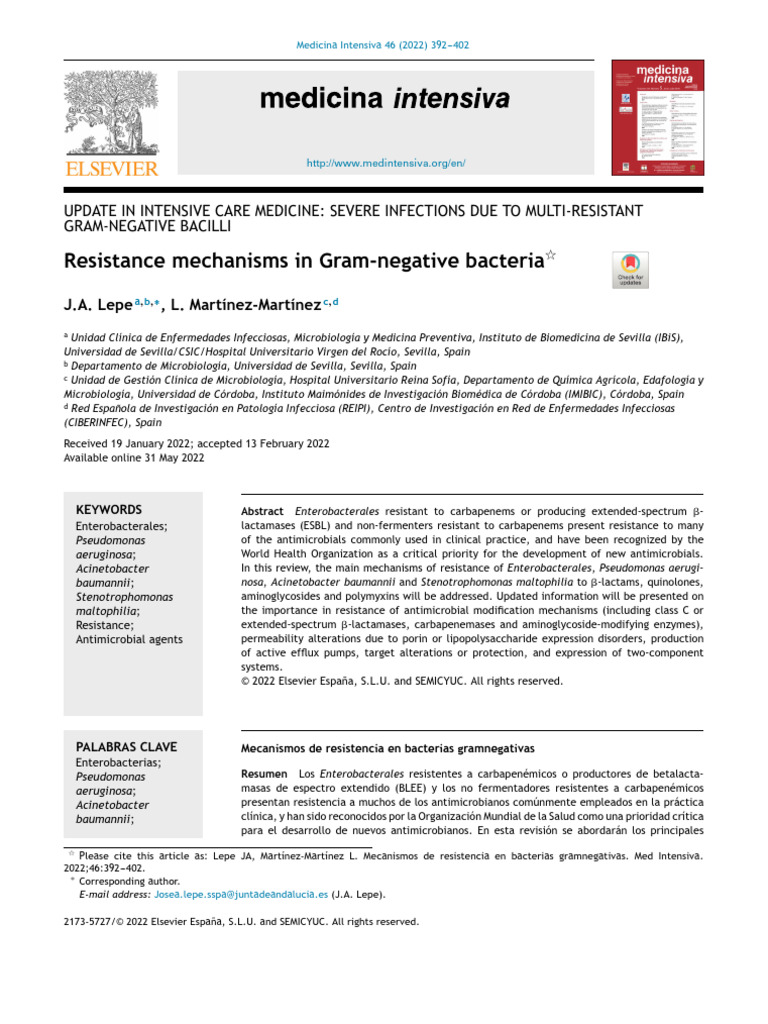 Resistance Mechanisms in Gram-Negative Bacteria | PDF | Beta Lactamase ...