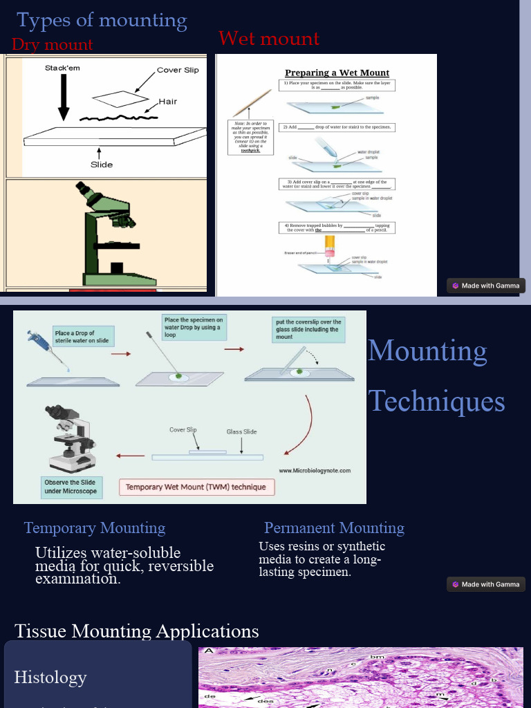 Churi PresentationTissue Mounting | PDF