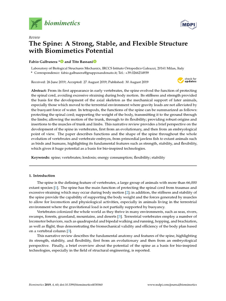 The Spine: A Strong, Stable, and Flexible Structure With Biomimetics ...