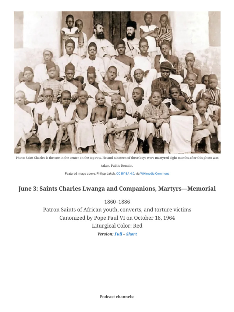 Saints Charles Lwanga and Companions - My Catholic Life! | PDF | Martyr ...