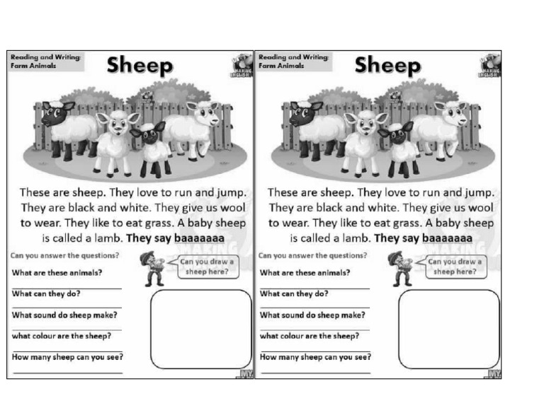 Sheep | PDF