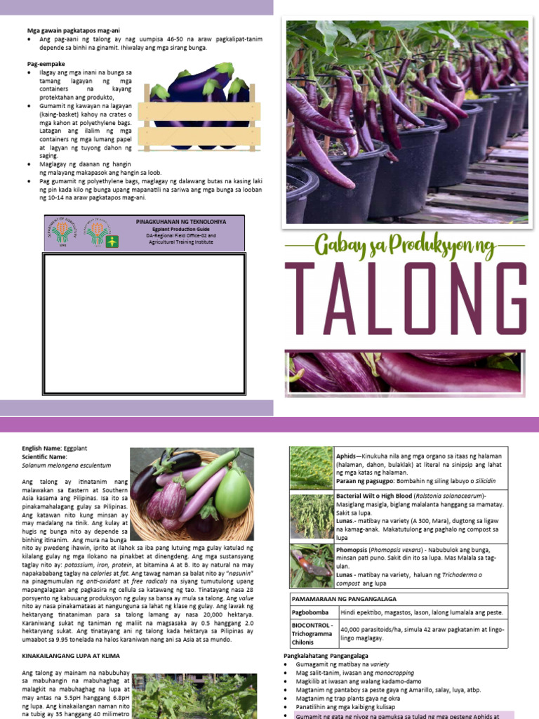 gabay_sa_produksyon_ng_talong1 | PDF