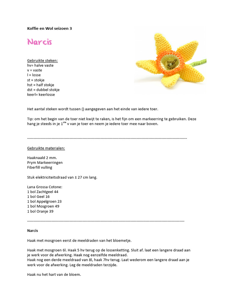 Bloem Narcis | PDF
