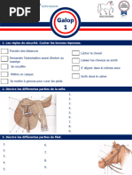Fiches Pedagogique Galop 3 | PDF | Allure (équitation) | Pédagogie