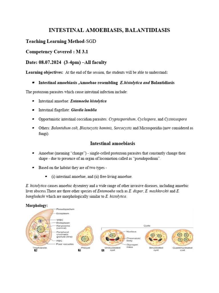 Intestinal Amoebiasis, Balantidiasis-SGD | PDF | Diseases And Disorders ...