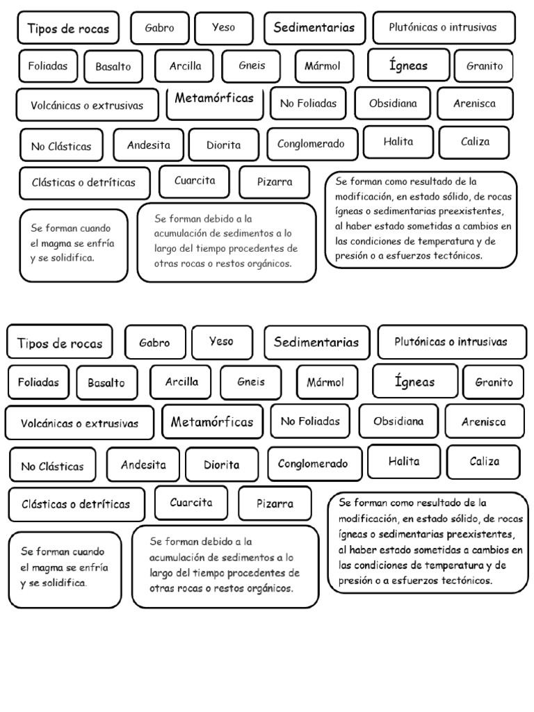 Palabras Mapa de Conceptos | PDF