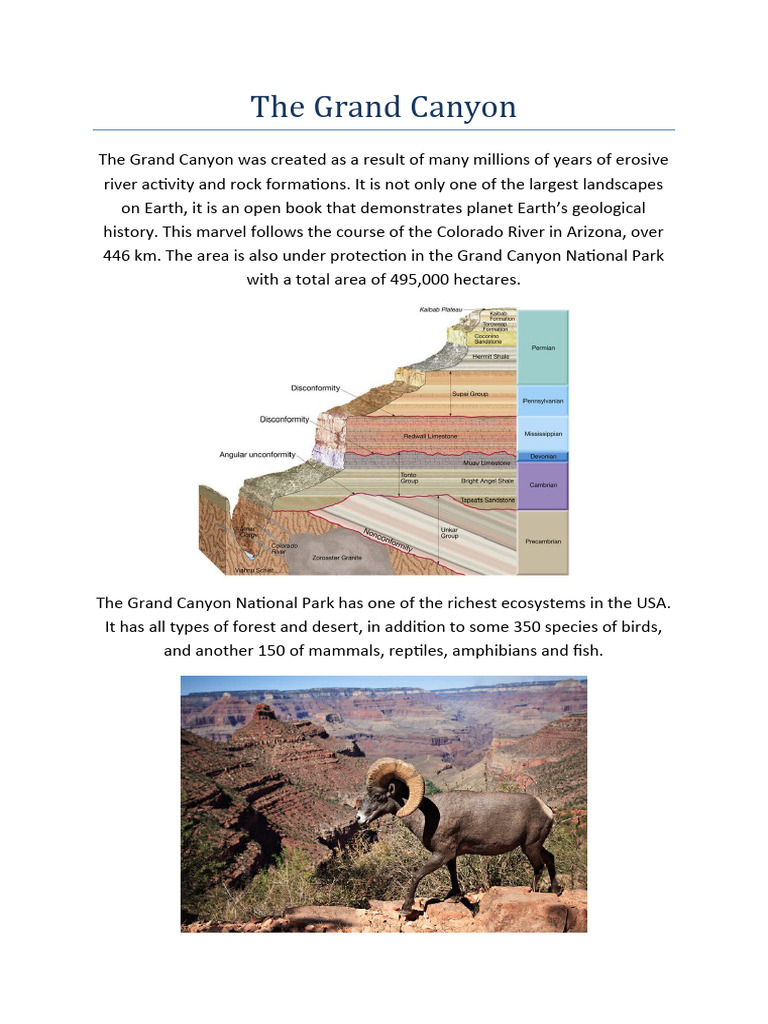 Explore the Grand Canyon's Wonders | PDF | Social Science | Home & Garden
