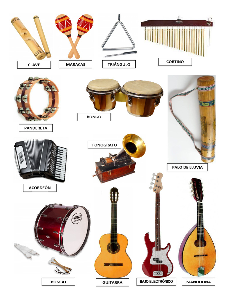 Instrumentos Musicales | PDF