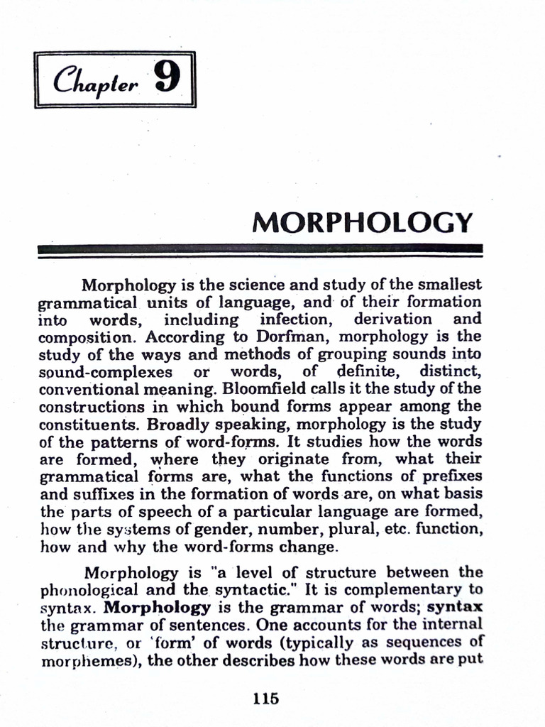Morphology | PDF