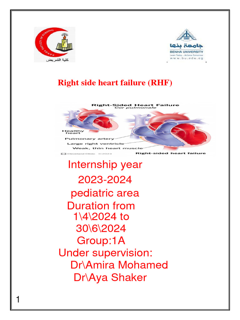 Case Study RHF | PDF | Heart Failure | Heart
