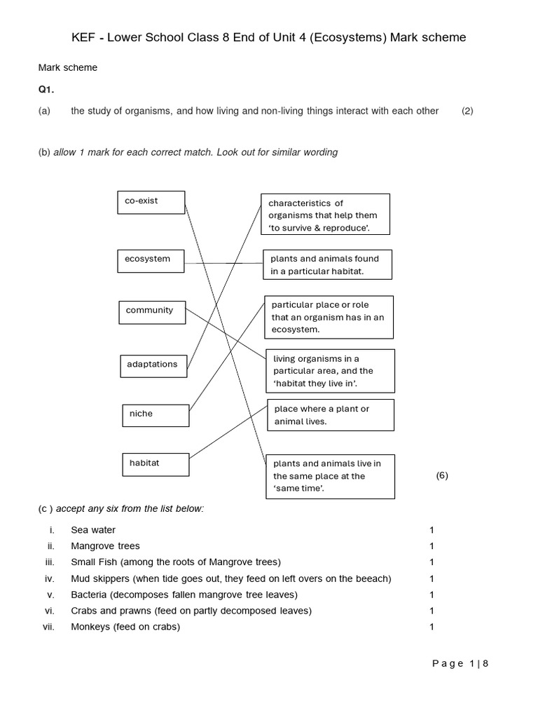 End of Unit 4 (Ecosystems) MS | PDF | Predation | Foods