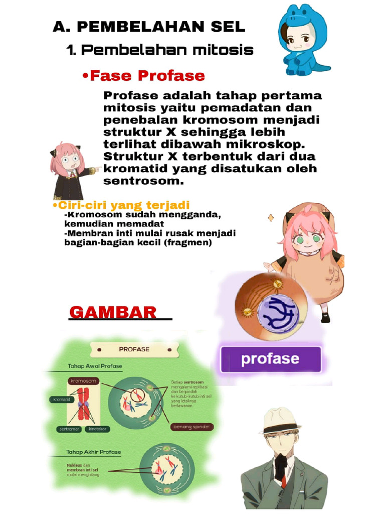 Tugas IPA, Pembelahan Sel | PDF