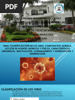 Clasificación Viral de Baltimore | PDF | Virus | Rna