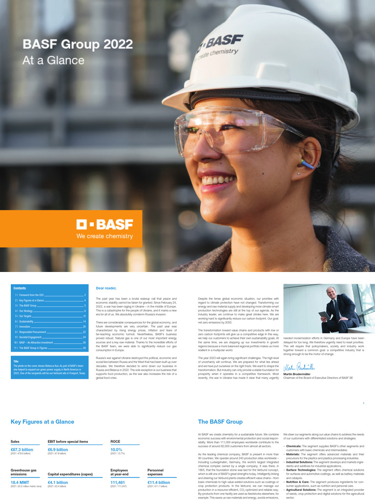 BASF at A Glance 2022.pdf - Assetinline | PDF | Sustainability ...