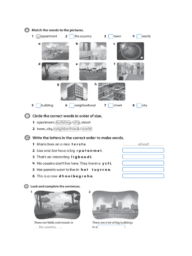 Unit 13 Activity | PDF