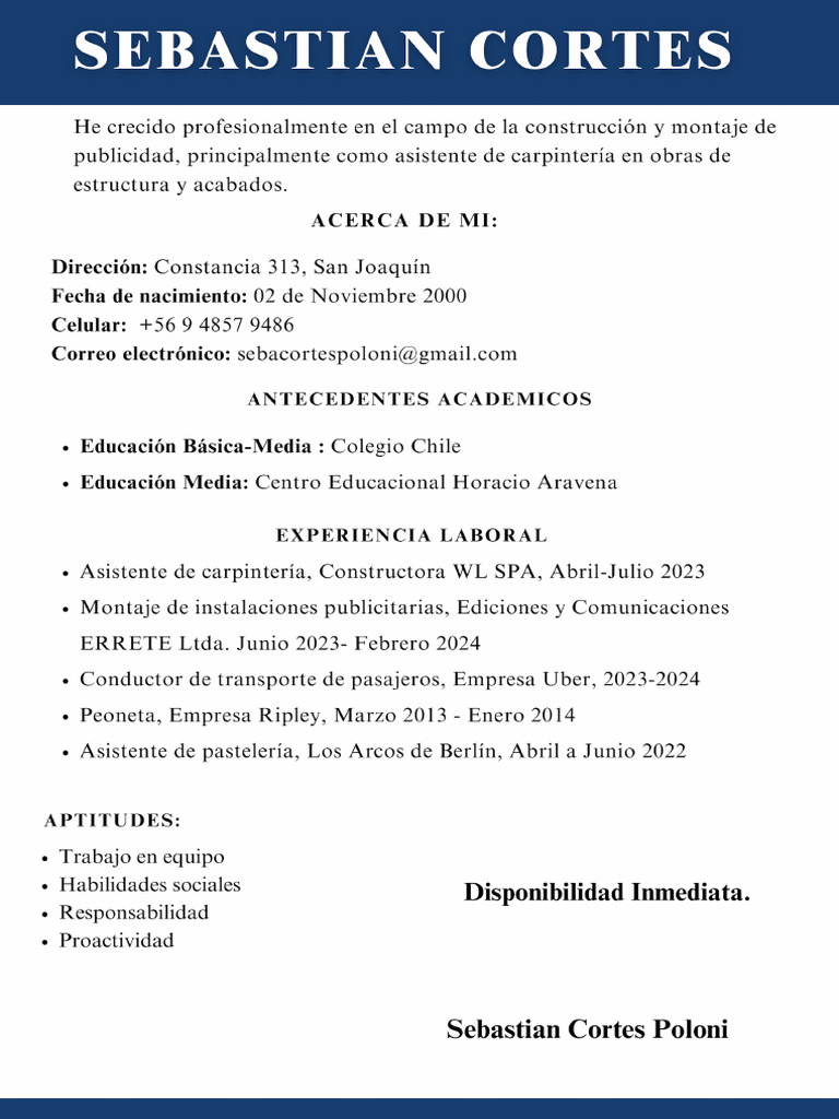 CV Sebastian Cortes Santiago | PDF
