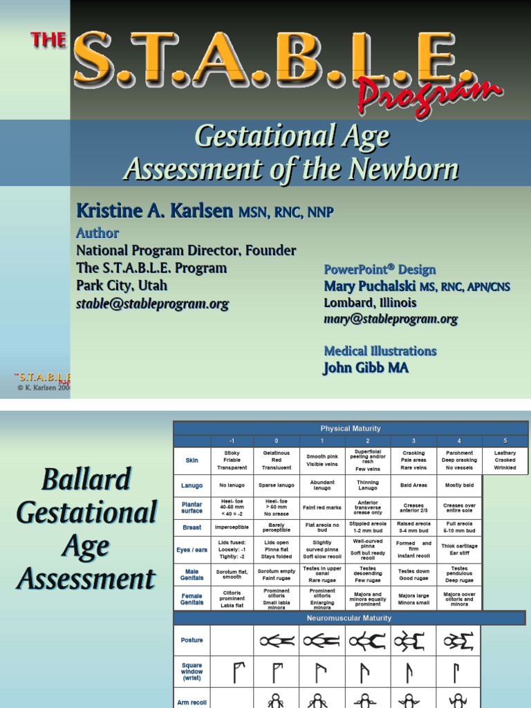 Gestational Age Powerpoint On PDF | PDF | Musculoskeletal System ...