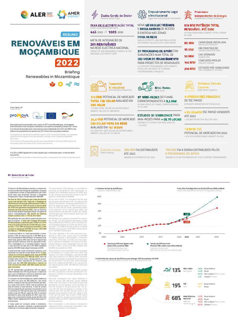 Resumo_ Energias Renovaveis 2022 | PDF | Economias