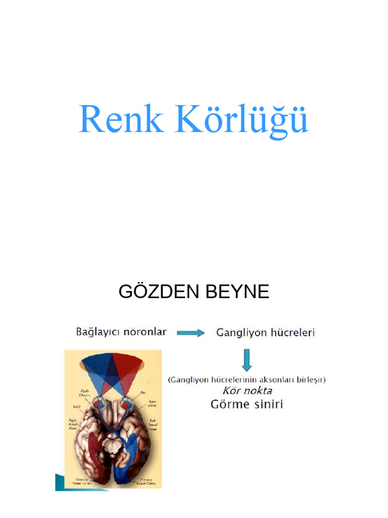Renk Körlüğ | PDF