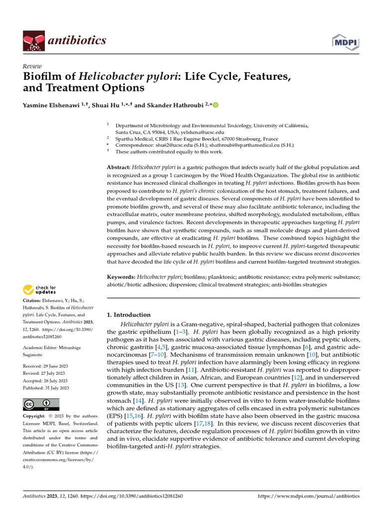 Biofilm of Helicobacter Pylori, Life Cycle, Features and Treatment ...
