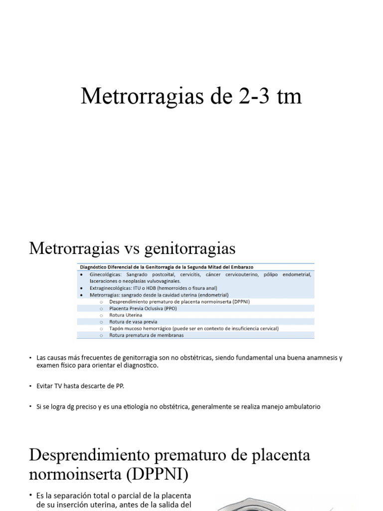 Metrorragias 2-3 TM | PDF | Placenta | Feto