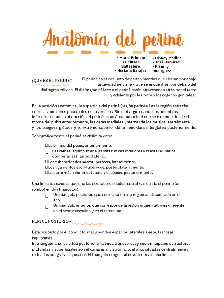 Tema 38. Periné - PDF - 20240705 - 144708 - 0000 | PDF | Vagina | Pelvis