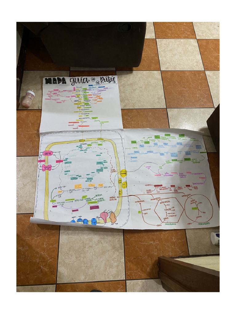 MAPA FINAL DE RUTAS | PDF