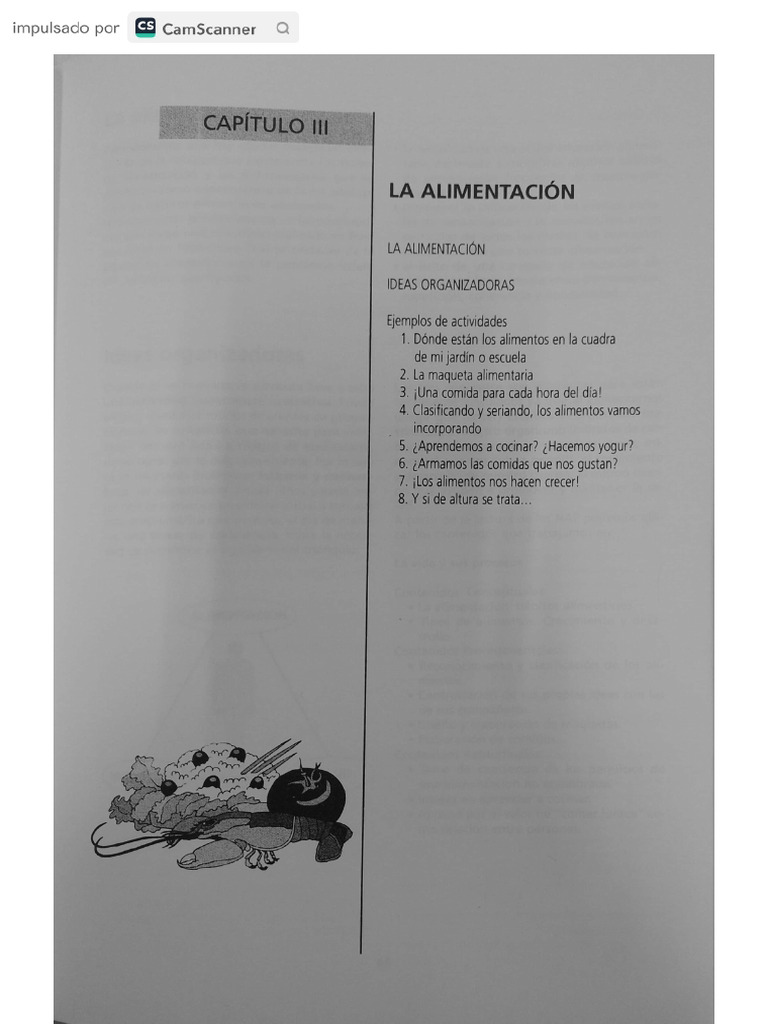 La Alimentacion - CN - Niypc Vol2 | PDF