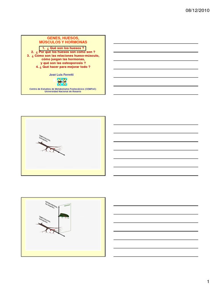 Cursos MAPACI I-II 2010 - 2a Parte Adaptada (Modo de Compatibilidad ...