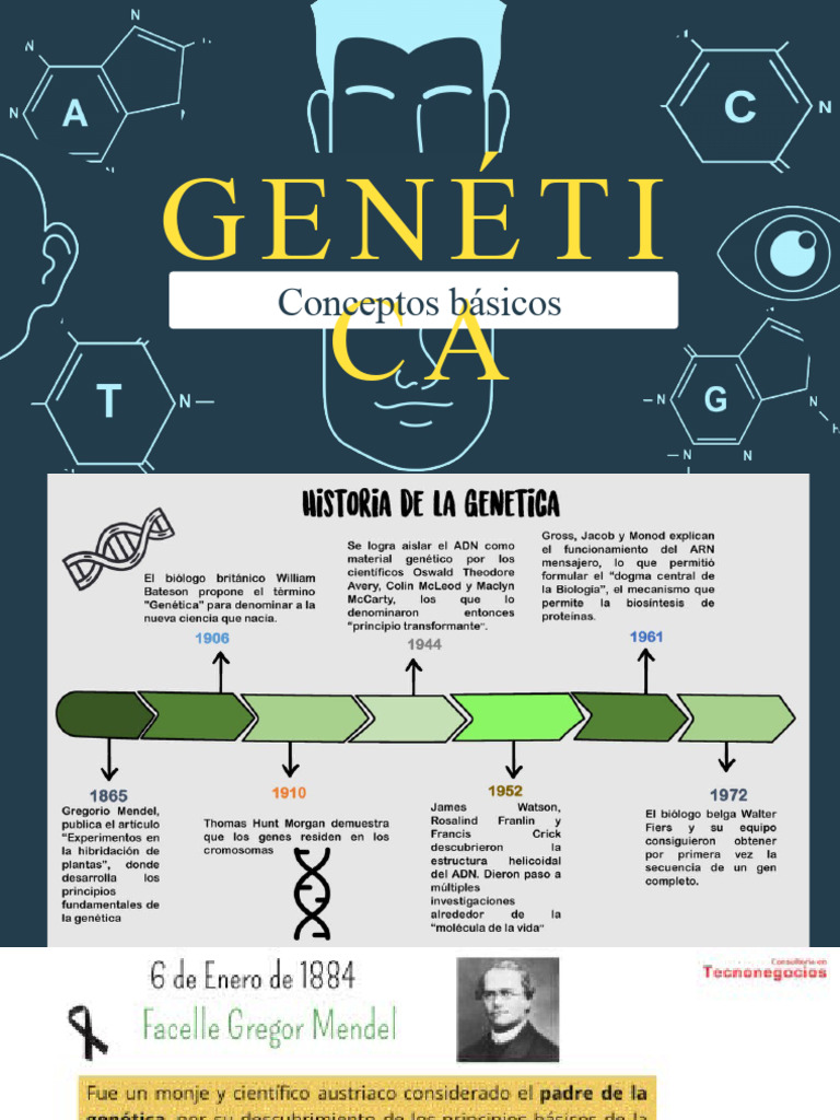 GENÈTICA CONCEPTOS BÀSICOS | PDF | Gene | Cigosidad