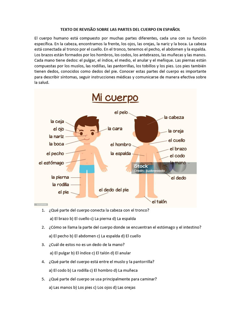 Partes del Cuerpo Humano en Español | PDF | Mano | Sistema ...