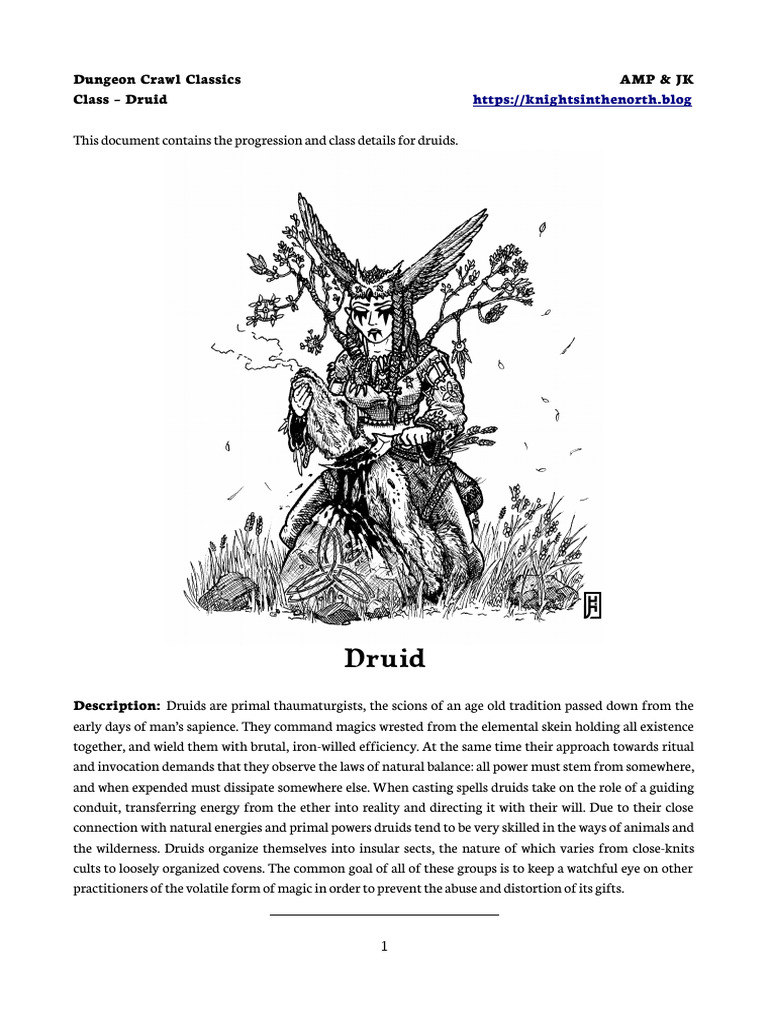 DCC Class Druid | PDF