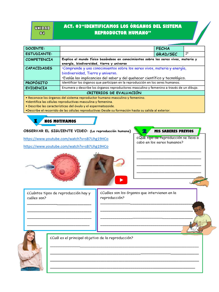 B-2º Act 3 Cyt Unid 4 - Sem 2 | PDF | Sistema reproductivo | Reproducción humana
