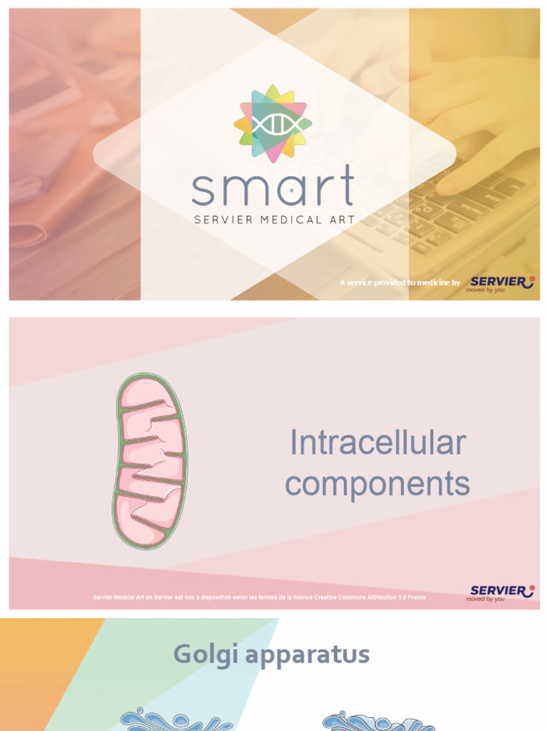 Intracellular Components | PDF | Anatomie cellulaire | Cellule (biologie)