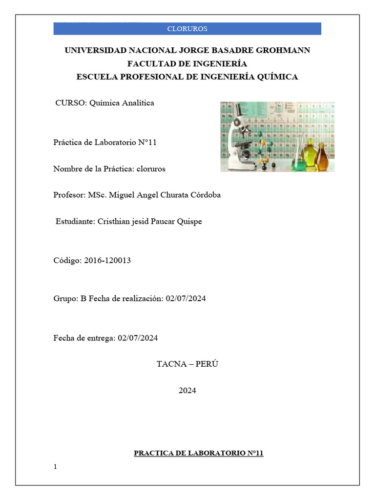 Inf. Lab N 11 Cloruros | PDF | Mole (Unidad) | Cloruro de sodio