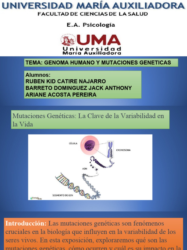 Mutaciones | PDF | Mutación | Adn