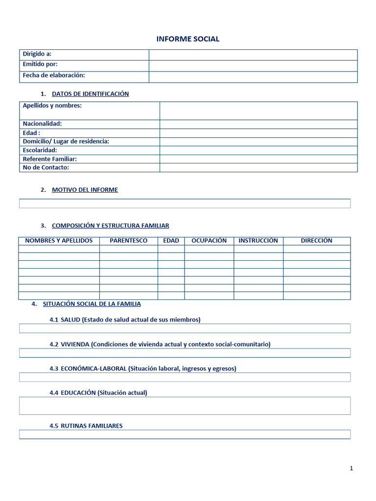 Ficha - Informe Social | PDF