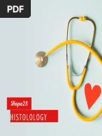 Normal Values of TTE - Echopedia | PDF | Ventricle (Heart) | Heart Valve