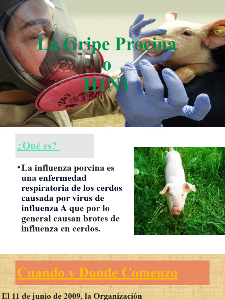 La Gripe Porcina.1.1 | PDF | Virus de la Influenza A Subtipo H1 N1 ...