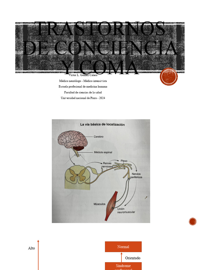 Clase 01 Trastorno De Conciencia Descargar Gratis Pdf Coma