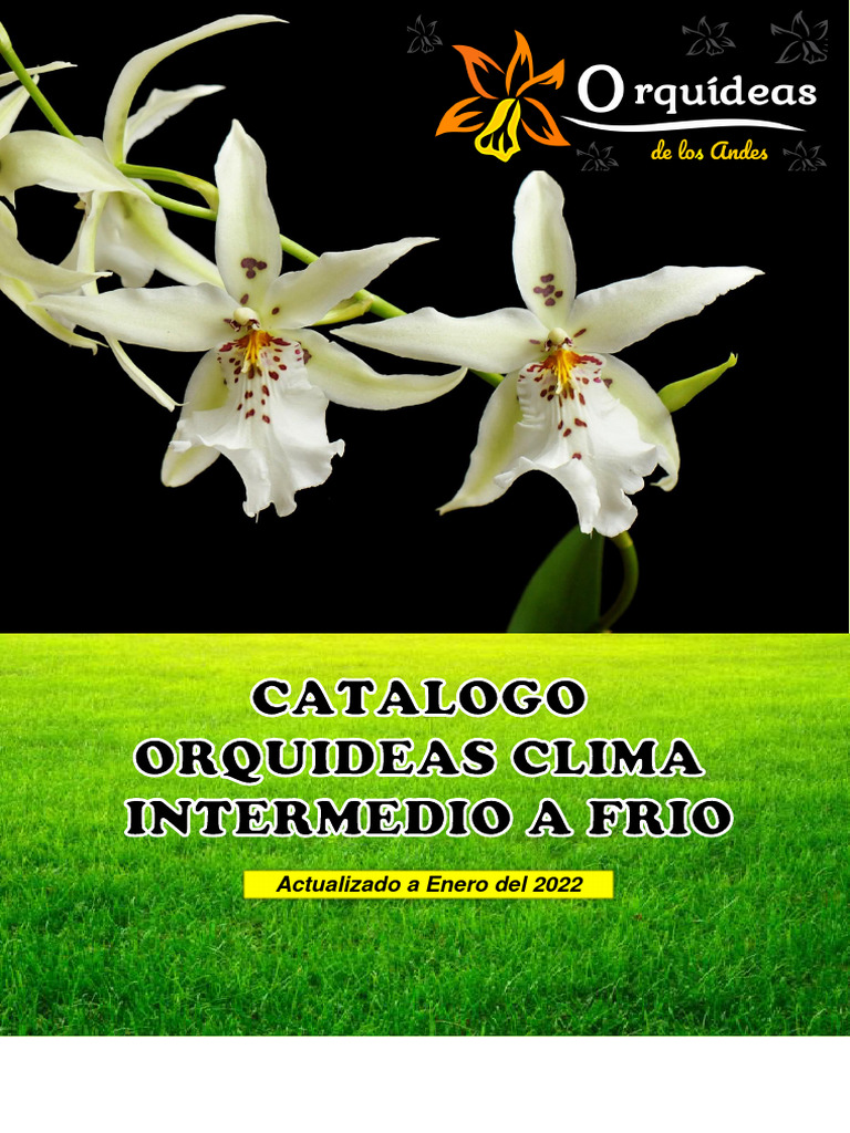 Catálogo de Orquídeas 2022 | PDF | Plantas | Botánica